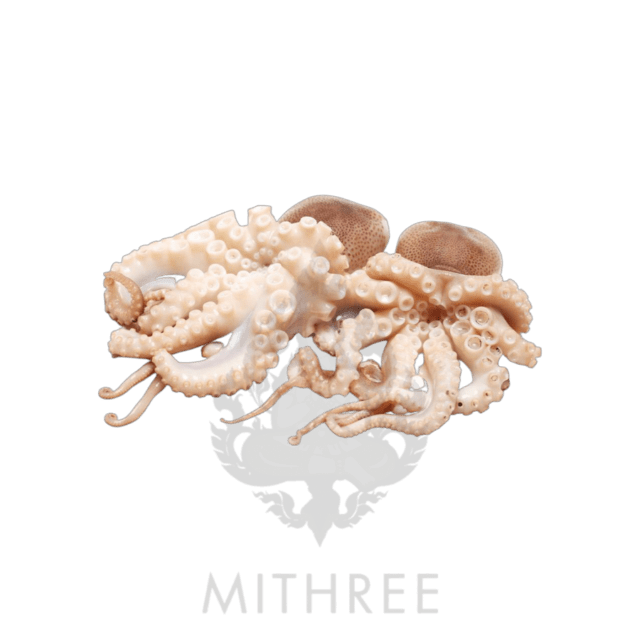 OCTOPUS [16/25] [FRZ] 1KG - MITHREE