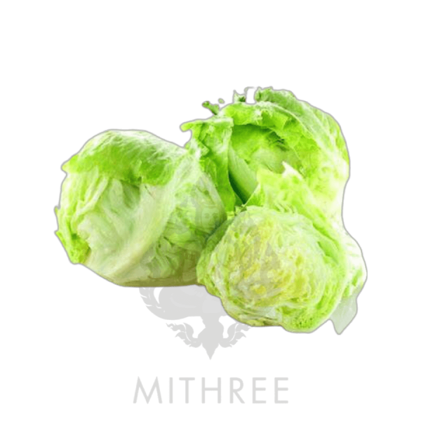 ICEBERG LETTUCE [FRESH] PACKET - MITHREE
