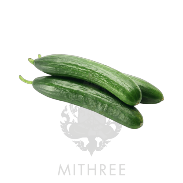 LEBANESE CUCUMBER [FRESH] 1KG - MITHREE