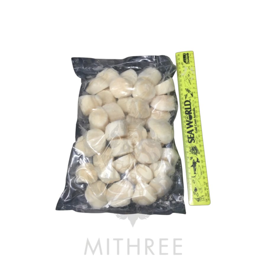 JAP SCALLOP MEAT [R/O-10/20] [FRZ] 1KG/10 - MITHREE